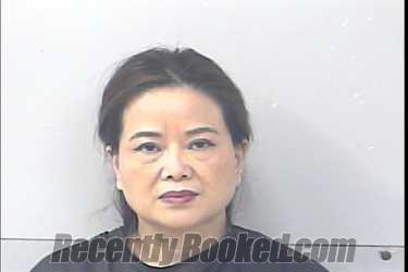 Recent Booking / Mugshot for Jing Wang in St Lucie County, Florida