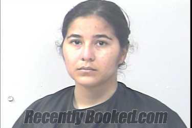 Recent Booking / Mugshot for Janel Rachelle Matos Castillo in St Lucie ...
