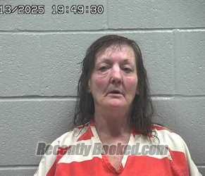 Recent Booking / Mugshot for NANCY HOWELL in Crawford County, Ohio