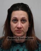 Recent Booking / Mugshot for AMY MARIE FIELDS in Darke County, Ohio