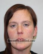 Recent Booking / Mugshot for MICHELLE ANNAMARIE HARTMIER in Darke ...