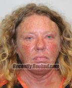 Recent Booking / Mugshot for SHEILA LOUISE HORNE in Darke County, Ohio