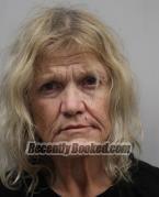 Recent Booking / Mugshot for SUSAN ELAINE BINKLEY in Darke County, Ohio