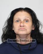 Recent Booking / Mugshot for JENNIFER SHAWN BRANHAM in Darke County, Ohio