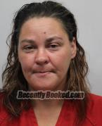 Amber Nicole Foley Arrest & Booking Info | Darke County, OH