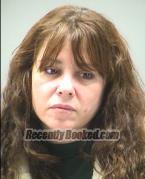 Recent Booking / Mugshot for SHELLY DENISE SAYLOR in Darke County, Ohio