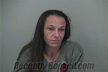 Recent Booking / Mugshot for CHRISTINA MARIE LEWIS in Delaware County, Ohio