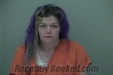 Recent Booking / Mugshot for AMBER ROSE BOOHER in Delaware County, Ohio