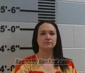 Recent Booking / Mugshot for ERIN LEE BURKHART in Fairfield County, Ohio