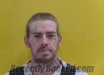 Recent Booking / Mugshot for NIKKI STEPHEN GEER in Fairfield County, Ohio