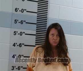 Recent Booking / Mugshot for SARAH CHRISTINE SHULL in Fairfield County ...