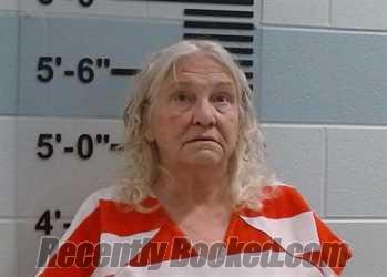 Recent Booking / Mugshot for LISA L STIGER in Fairfield County, Ohio