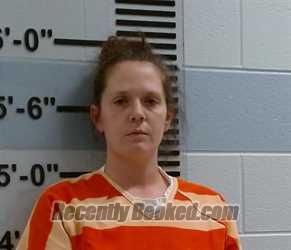 PAIGE RENEE MILLER Arrest Record & Booking Info – Fairfield County ...