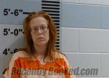 Recent Booking / Mugshot for MELISSA CRAMER in Fairfield County, Ohio