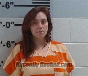 Recent Booking / Mugshot for JENNIFER MICHELLE SCOTT in Fairfield ...