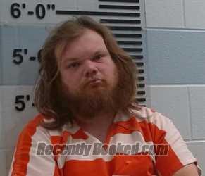 Recent Booking / Mugshot for TYLER JAMES LIPPERT in Fairfield County, Ohio