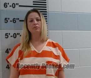Recent Booking / Mugshot for WHITNEY NOEL HICKS in Fairfield County, Ohio