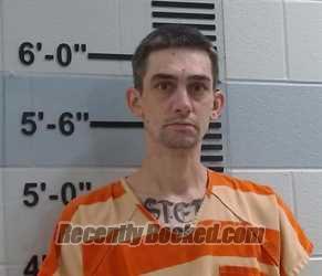 Recent Booking / Mugshot for NICHOLAS ADAM STEIN in Fairfield County, Ohio