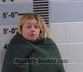 Recent Booking / Mugshot for AMY LOTT in Fairfield County, Ohio