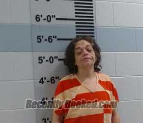 Recent Booking / Mugshot for CATHY ANNE BADGER in Fairfield County, Ohio