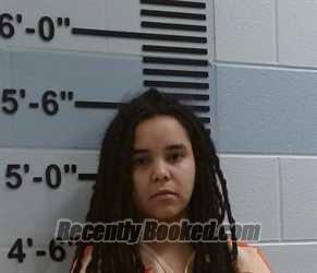 Recent Booking / Mugshot for ALEIGHA MARIE HINTON-COLLINS in Fairfield ...