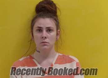 Recent Booking / Mugshot for LIDEA ROMINE in Fairfield County, Ohio