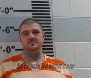 Recent Booking / Mugshot for SHAWN MORGAN in Fairfield County, Ohio