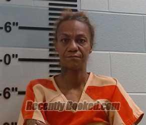 Recent Booking / Mugshot for TIARA L JAMISON in Fairfield County, Ohio