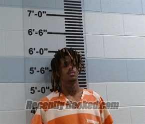 Recent Booking / Mugshot for STEPHEN JAMES GENTRY in Fairfield County, Ohio