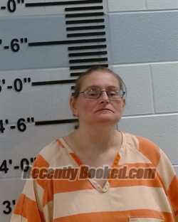 Recent Booking / Mugshot for AMANDA R MUNCY in Fairfield County, Ohio