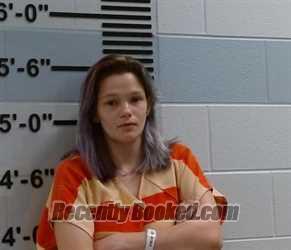 Recent Booking / Mugshot for JESSICA MARIE ROWLEY in Fairfield County, Ohio