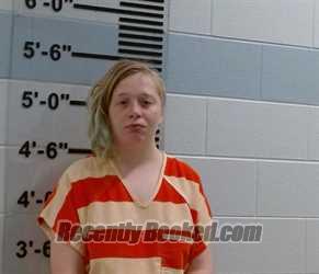 Recent Booking / Mugshot for JESSICA SOWERS in Fairfield County, Ohio