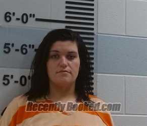 Recent Booking / Mugshot for RACHEL K BAKER in Fairfield County, Ohio