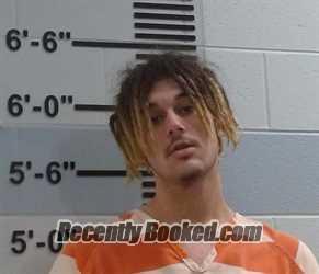 Recent Booking / Mugshot for TRISTAN BUTCHER in Fairfield County, Ohio