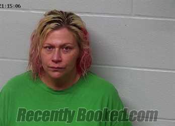 Recent Booking / Mugshot for ROBIN ELAINE HOOLEY in Fayette County, Ohio