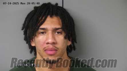 Recent Booking / Mugshot for SHON AUSTIN DYAMOND in Fayette County, Ohio