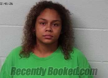 Recent Booking / Mugshot for JAMIE NICOLE RUNNELS in Fayette County, Ohio