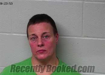 Recent Booking / Mugshot for SUSAN ELAINE HATTLE in Fayette County, Ohio