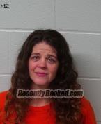 Recent Booking / Mugshot for CRYSTAL DAWN CEDILLO SILVA in Fayette ...
