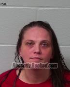 Recent Booking / Mugshot for BRANDI MARGARET CONLEY in Fayette County, Ohio