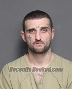 Recent Booking / Mugshot for CHAD MICHAEL THOMAS KRIEGER in Franklin ...