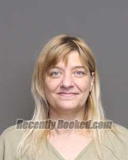 Recent Booking / Mugshot for AMY PATRICK in Franklin County, Ohio