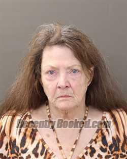Recent Booking / Mugshot for BARBARA L VANDERVER in Franklin County, Ohio