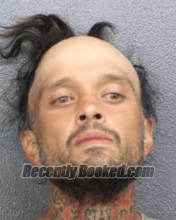 Recent Booking / Mugshot for CHRISTIAN ALVIN ROWELL in Broward County, Florida
