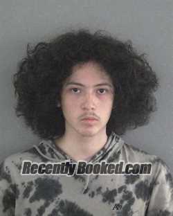 Recent Booking / Mugshot for NATHANIEL HERNANDEZ in Sumter County, Florida