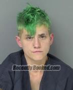 Recent Booking / Mugshot for HEATHER LYNN WINGO in Greene County, Ohio