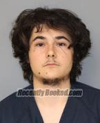 Recent Booking / Mugshot for LOUIS MICHAEL NEWTON in Greene County, Ohio