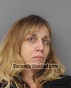 Recent Booking / Mugshot for NIKOLE LEIGH SEIBER in Greene County, Ohio