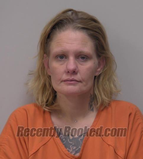 Recent Booking / Mugshot for Allison Dawn Cason in Hancock County, Ohio
