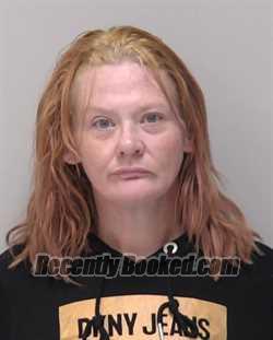 Recent Booking / Mugshot for Dale Ann Riley in Hancock County, Ohio